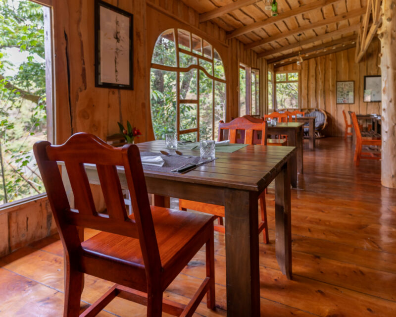 Food and Sustainability – Cedrela Eco Lodge